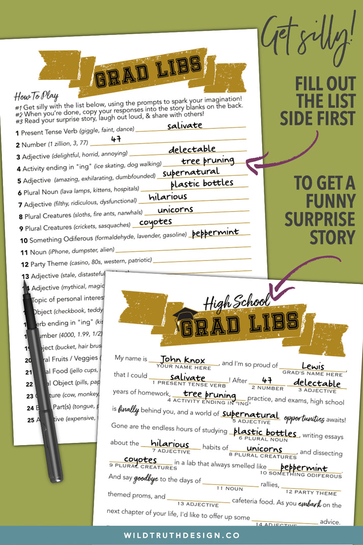Grad Libs High School Graduation Party Game – Wild Truth Design Co